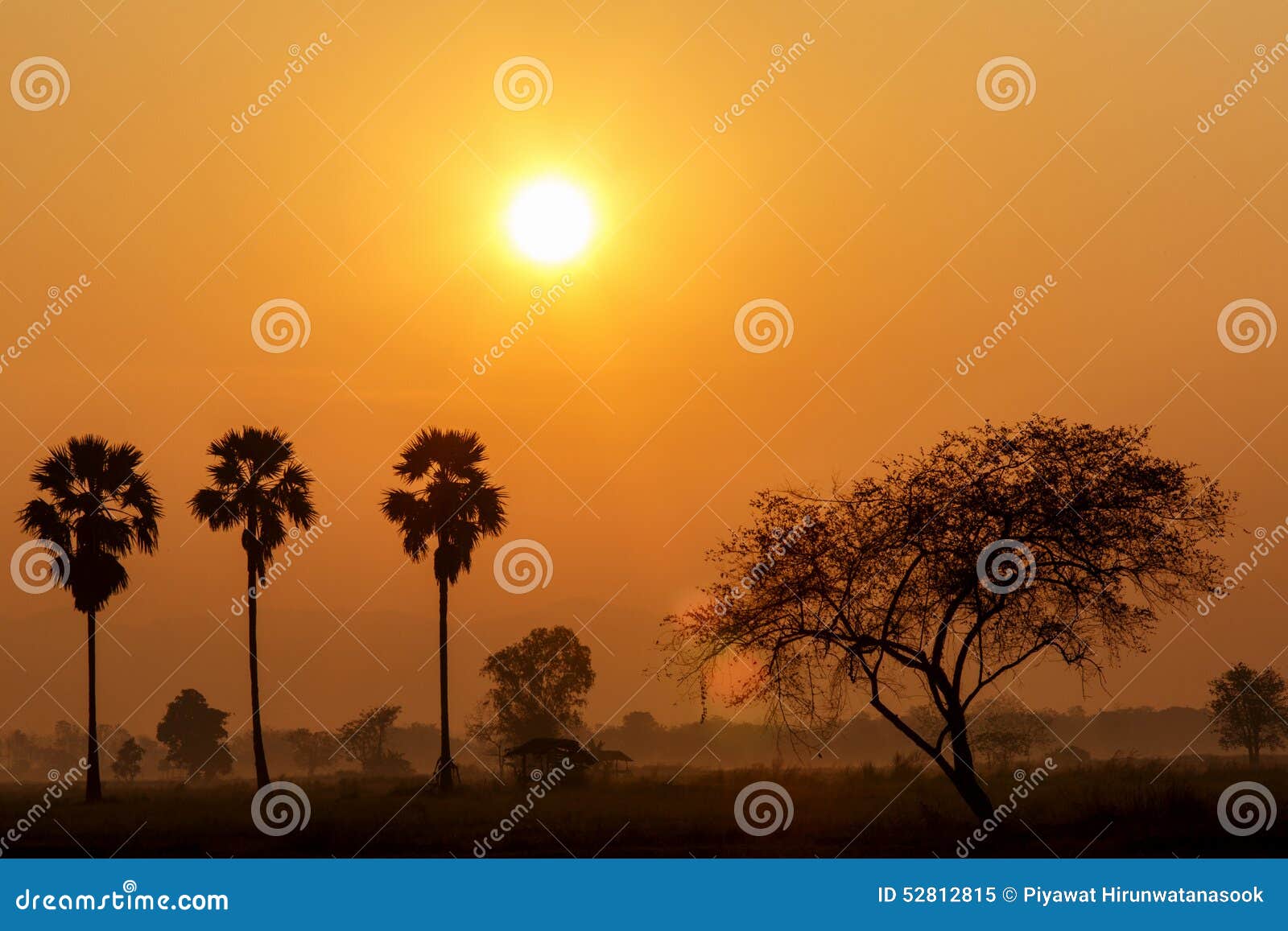 Golden moment stock image. Image of land, ground, light - 52812815