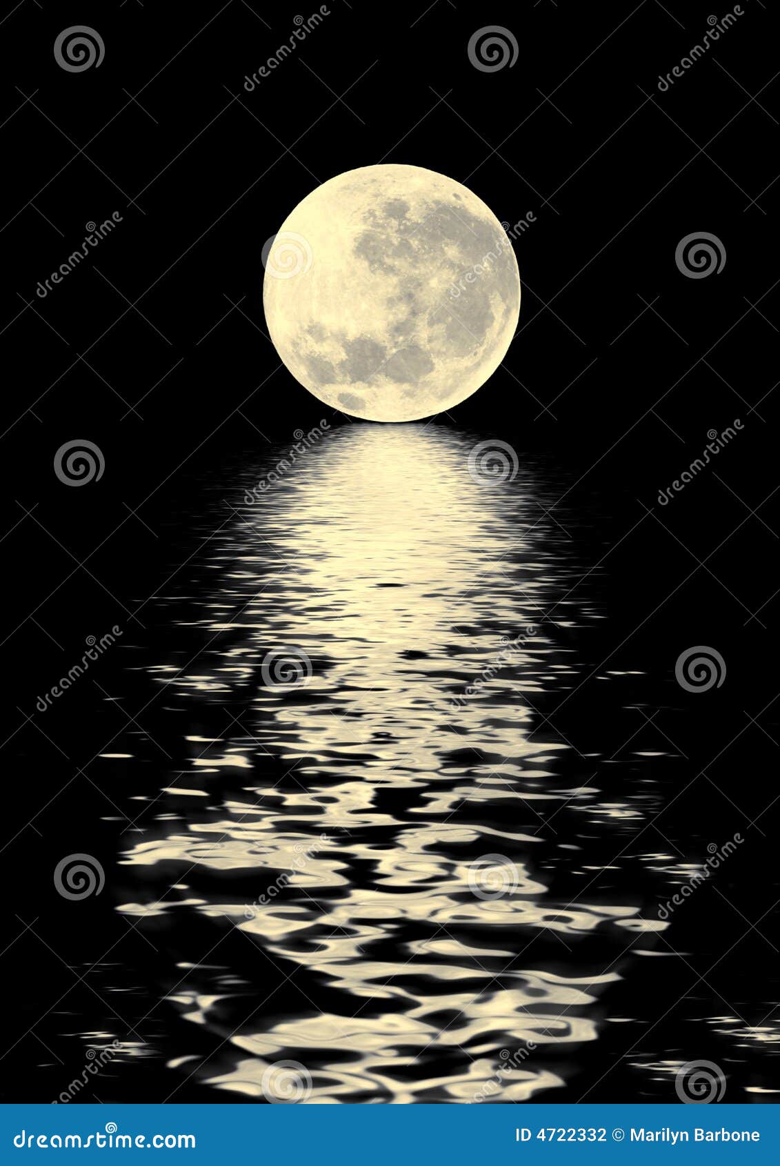 Golden Moon Beauty stock photo. Image of natural, circular - 4722332