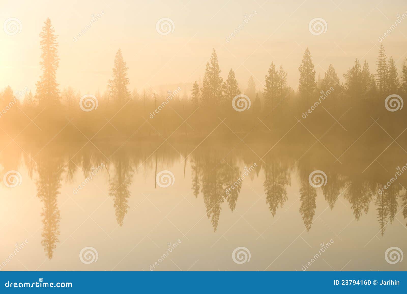 Golden morning stock photo. Image of mist, outdoor, scandinavian - 23794160
