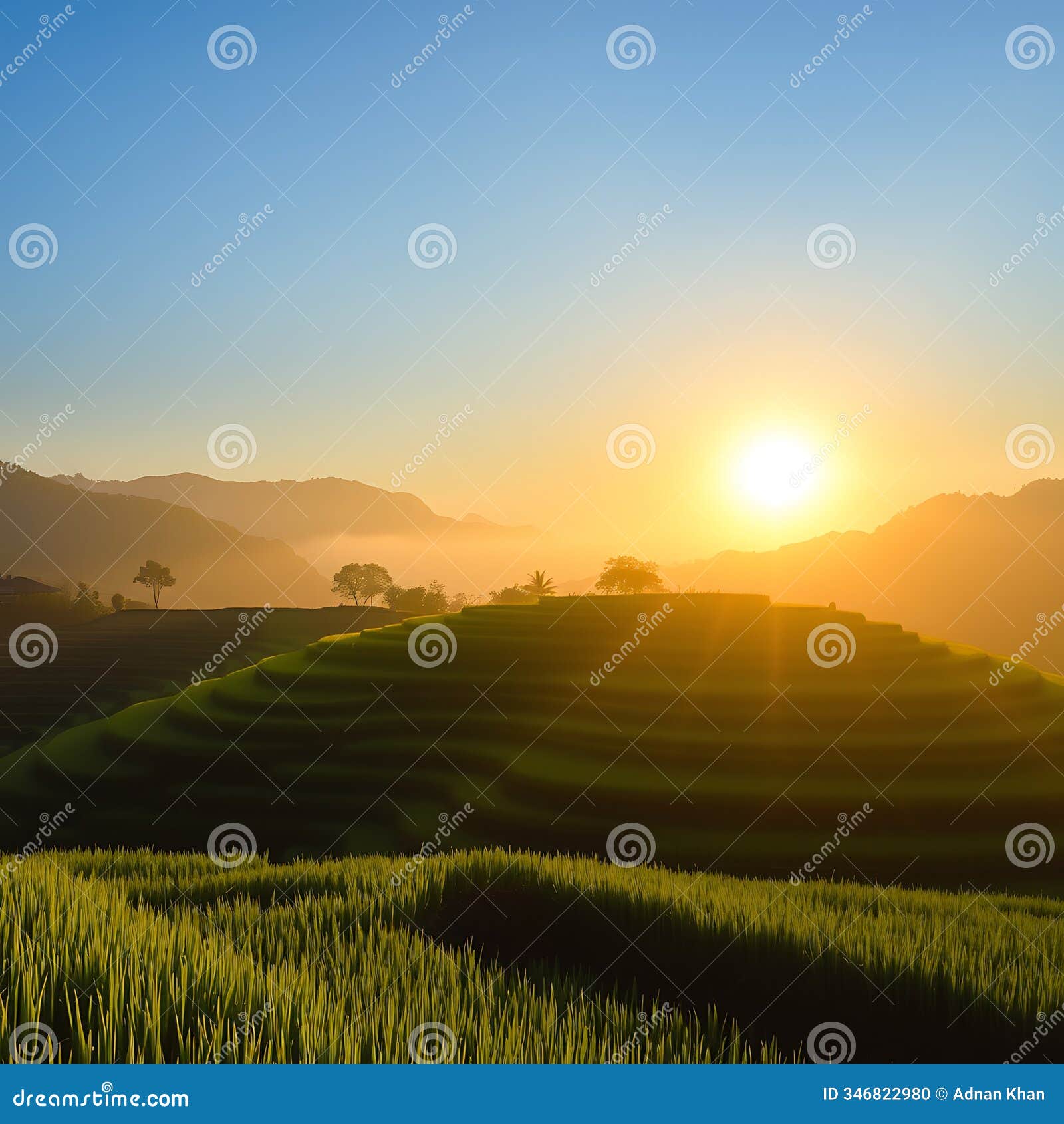 Terrace Rice Field Abstract Pattern Vector Illustration | CartoonDealer ...