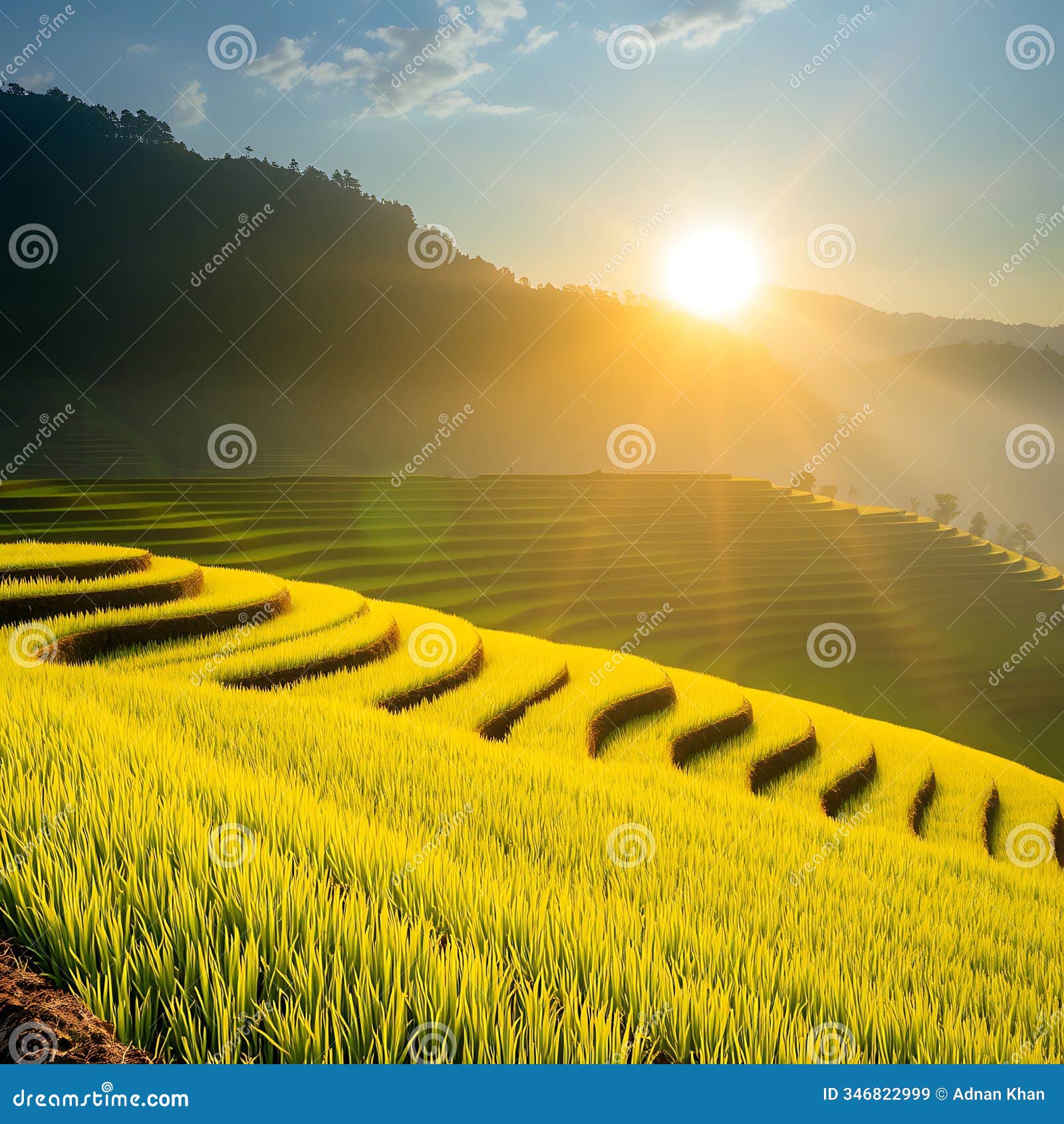 Golden Morning on Rice Terrace Stock Illustration - Illustration of ...