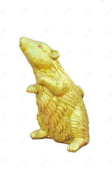 Golden mouse statue stock photo. Image of culture, religious - 21788088