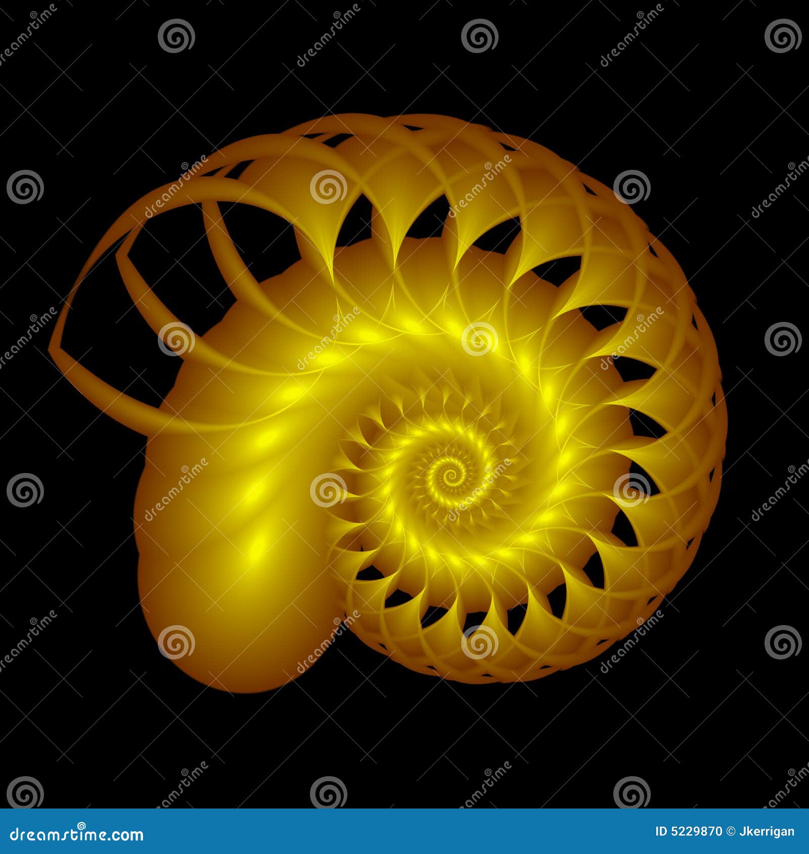 Nautilus Golden Ratio Geometric Spiral Set Vector Stock Image ...