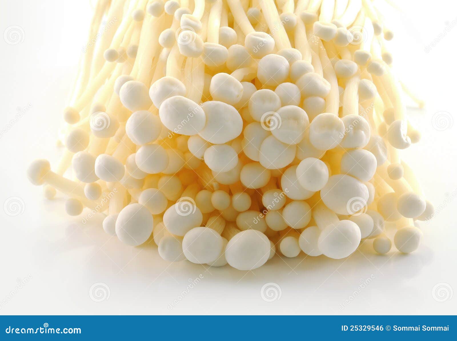 Golden needle mushroom stock photo. Image of tasty, fresh - 25329546