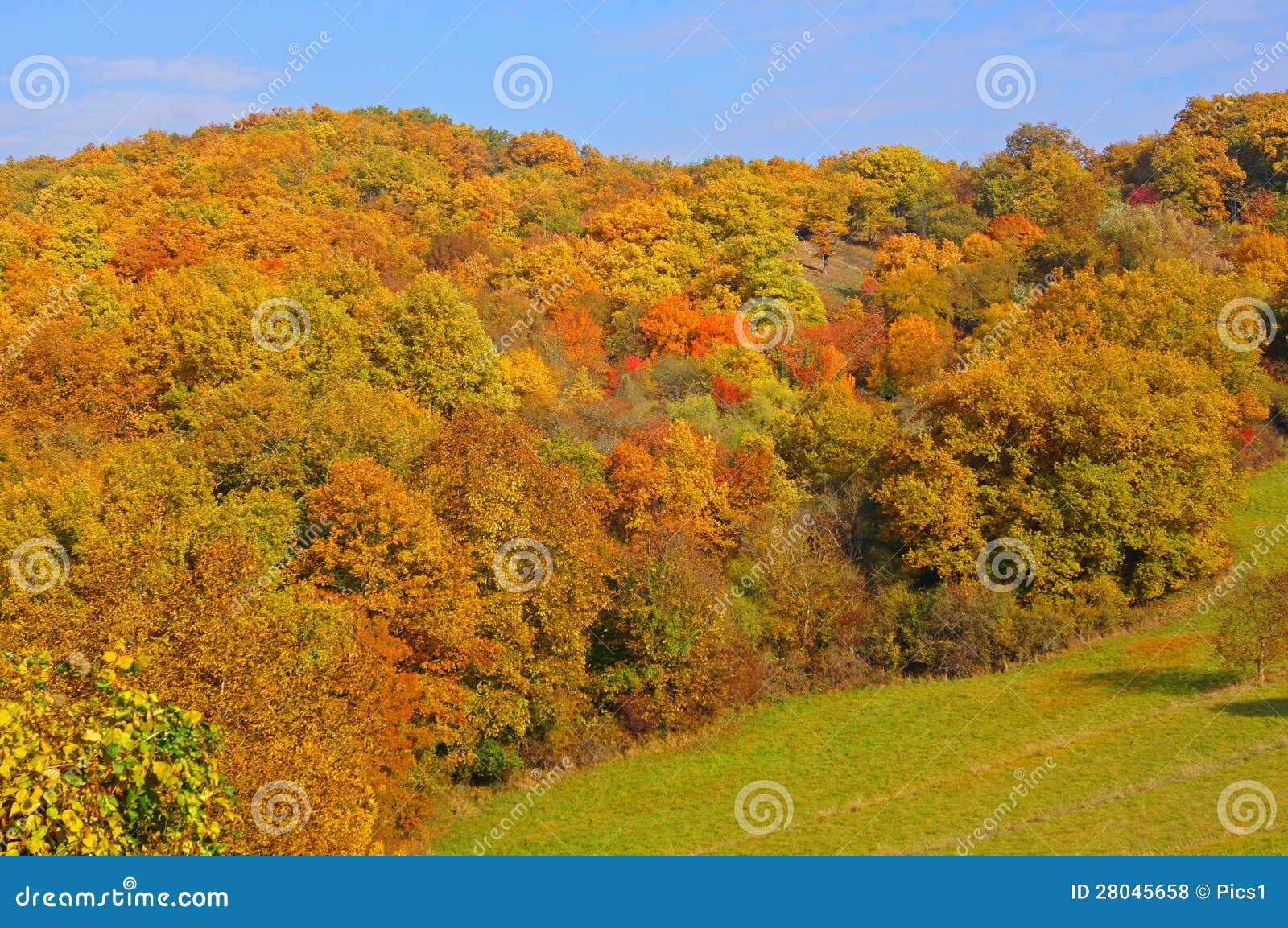 Golden October stock photo. Image of leaves, leaf, colourscolours ...
