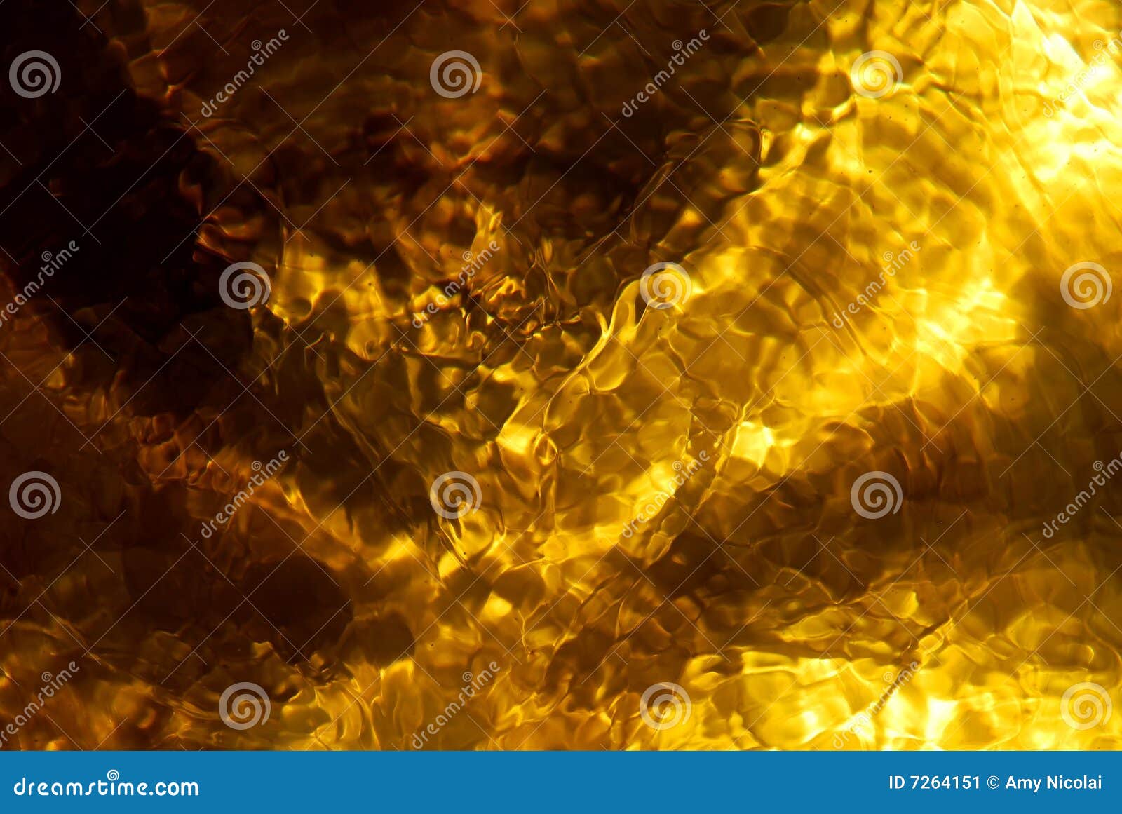 Golden oil stock image. Image of background, boil, canola - 7264151