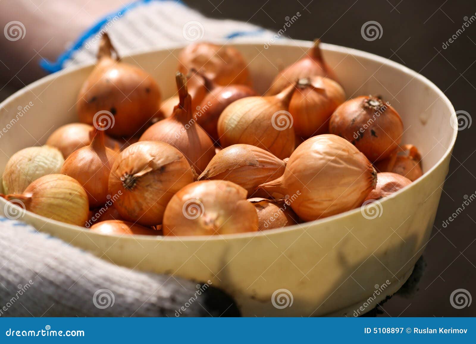 Golden onion stock image. Image of macro, ripe, grown - 5108897