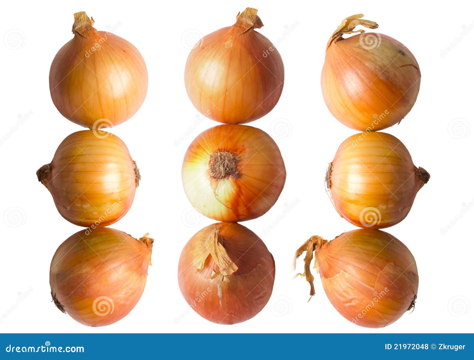 Golden onions stock photo. Image of vertical, ingredient - 21972048