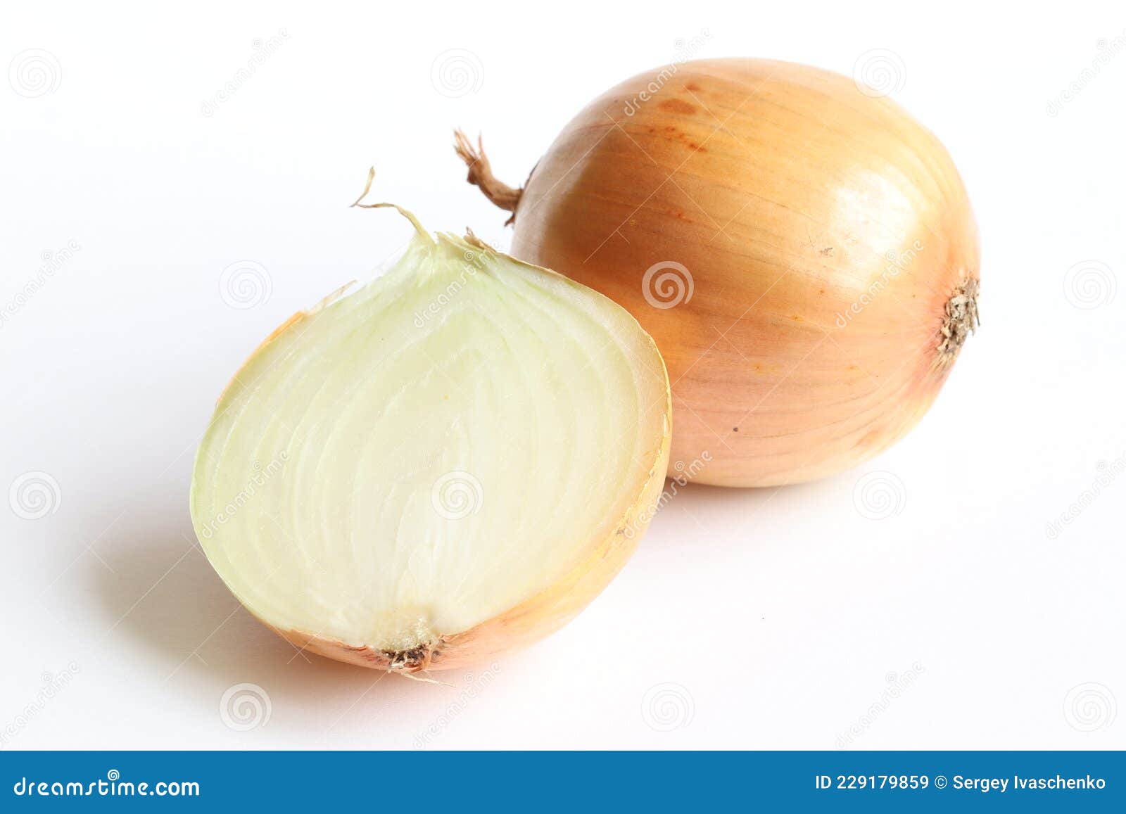 Golden bow. stock image. Image of yellow, brown, cooking - 229179859