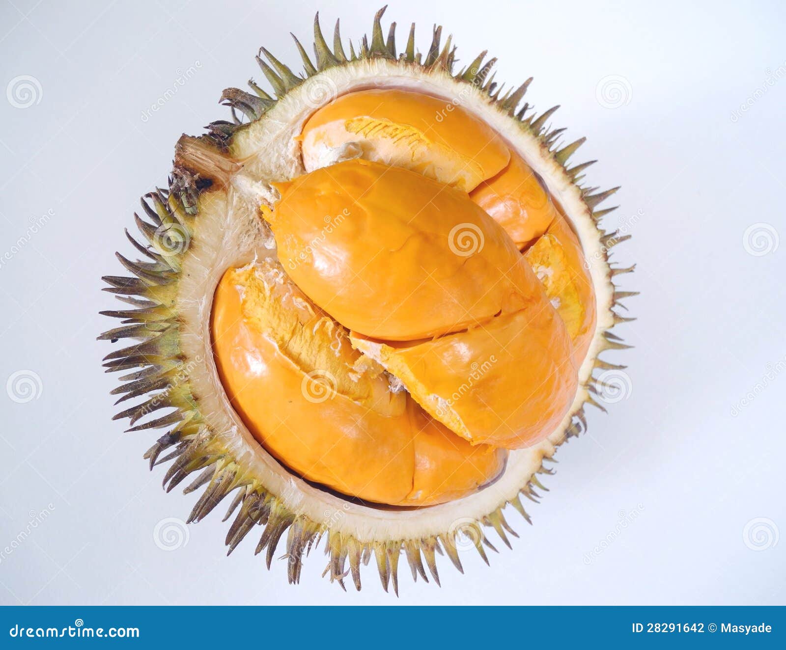 Golden Orange Durian stock photo. Image of display, picture - 28291642