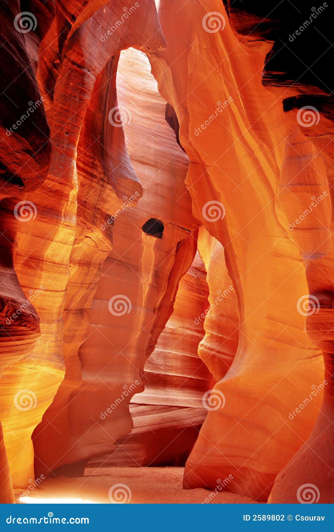 Golden Path stock photo. Image of america, canyon, darkness - 2589802