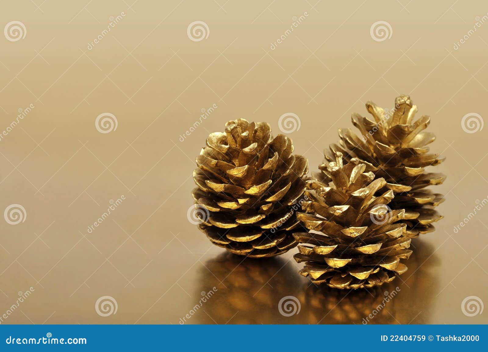 Golden pine cones stock image. Image of ornament, isolated - 22404759