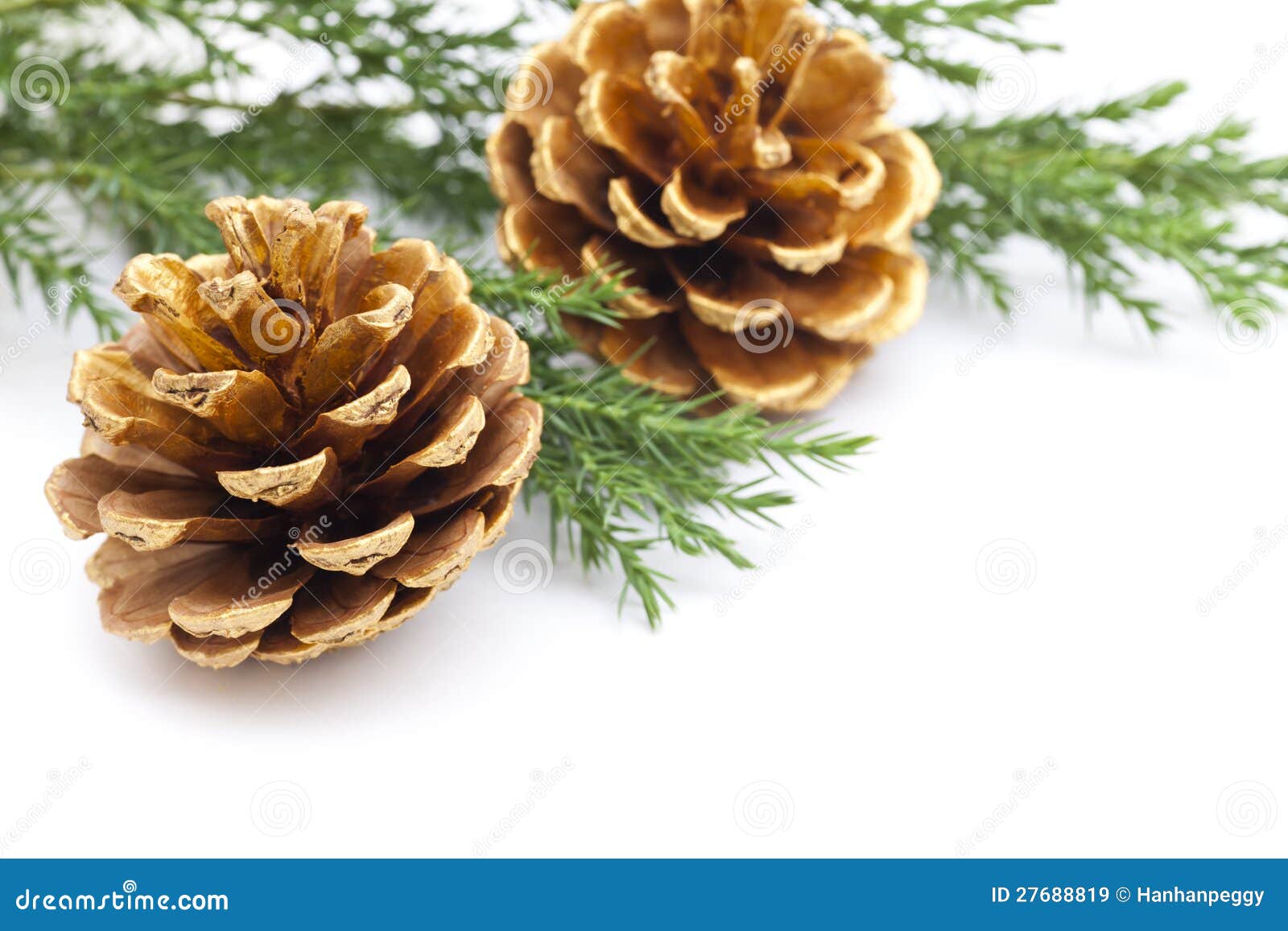 Golden Pine Cones stock image. Image of gold, beauty - 27688819