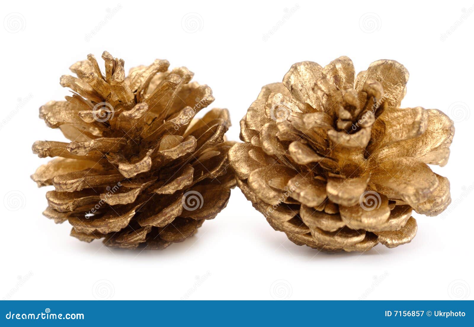 Golden Pine Wood Background Texture Rustic Royalty-Free Stock Photo ...