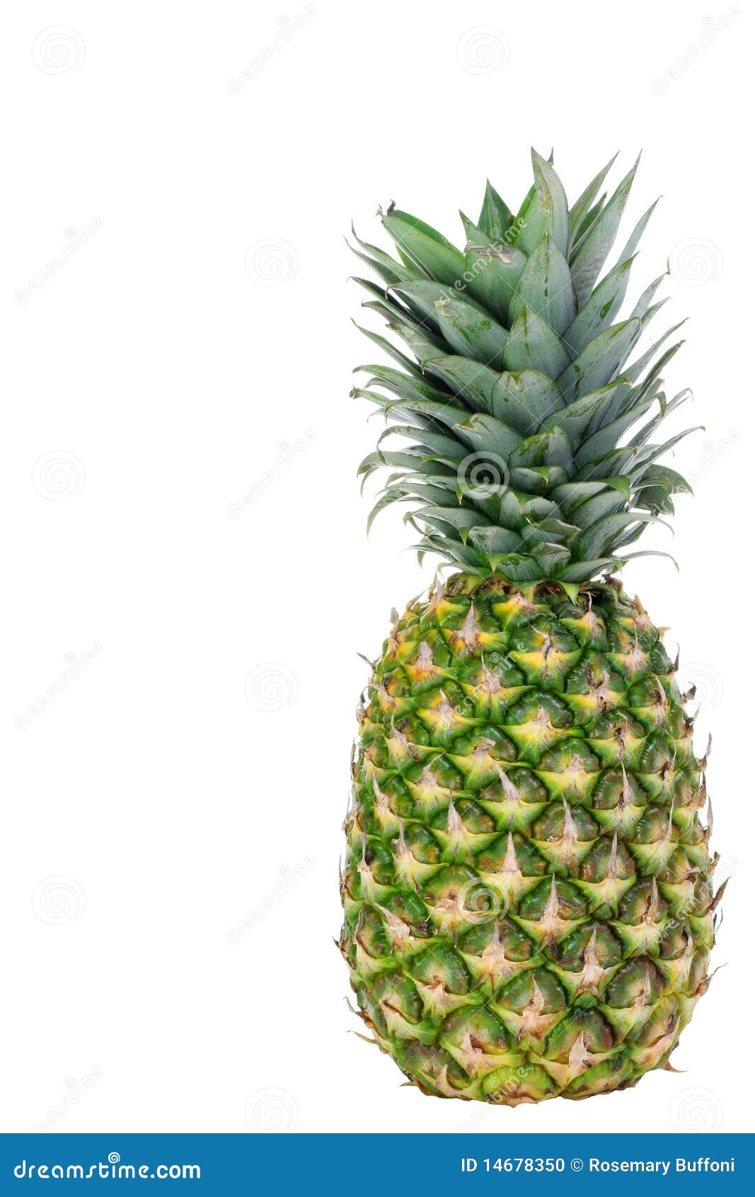 Golden Pineapple Isolated on White Stock Photo - Image of natural ...