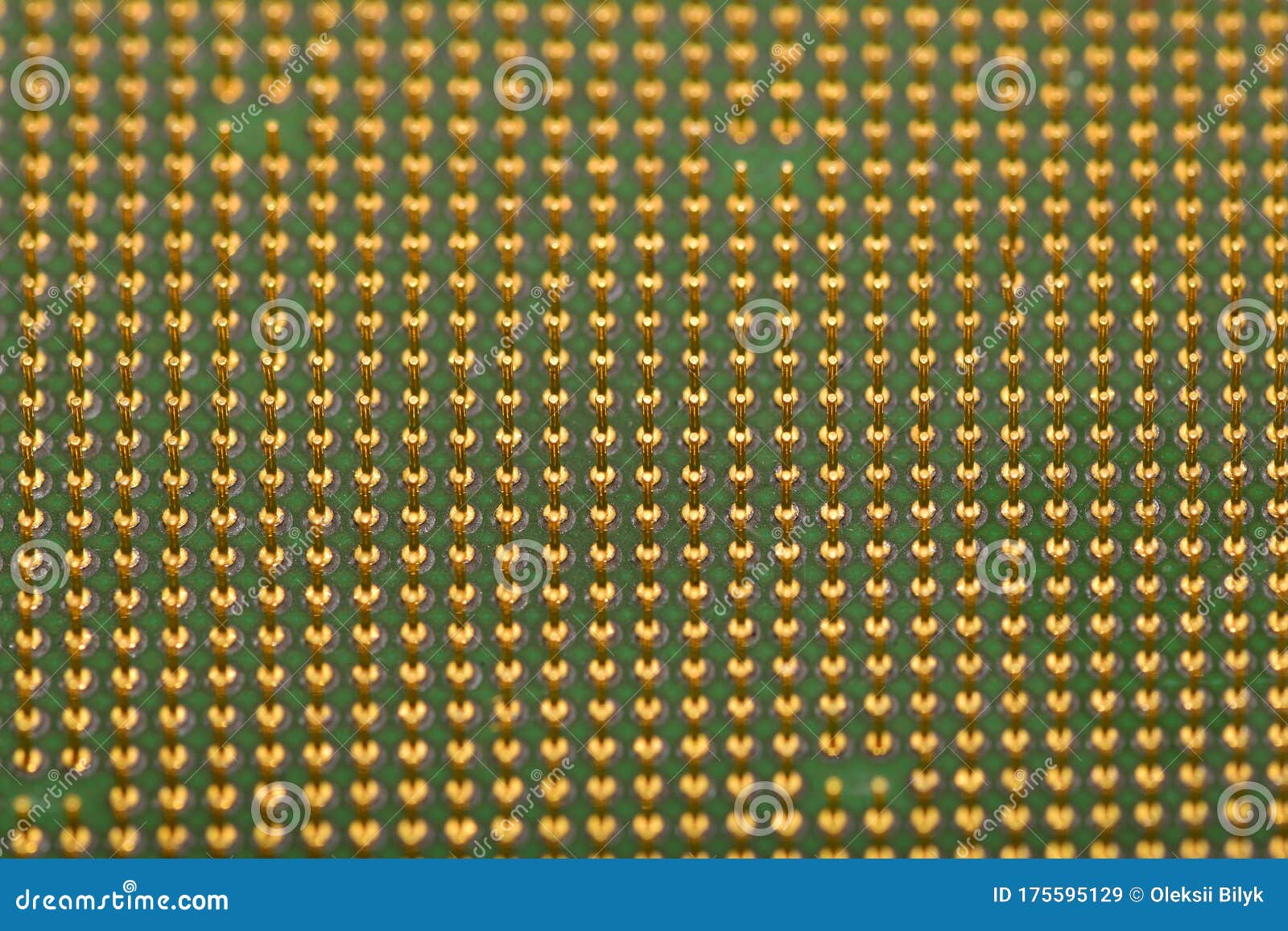 Golden Pins of a Core. CPU Bottom. Central Processor Unit Stock Image ...