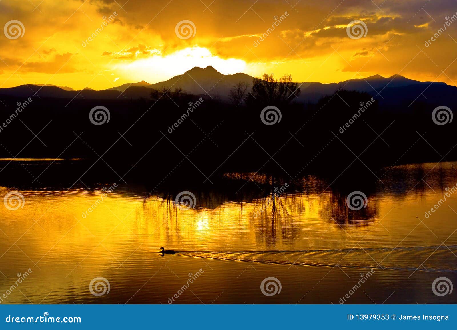 On Golden Ponds stock image. Image of golden, skyscapes - 13979353