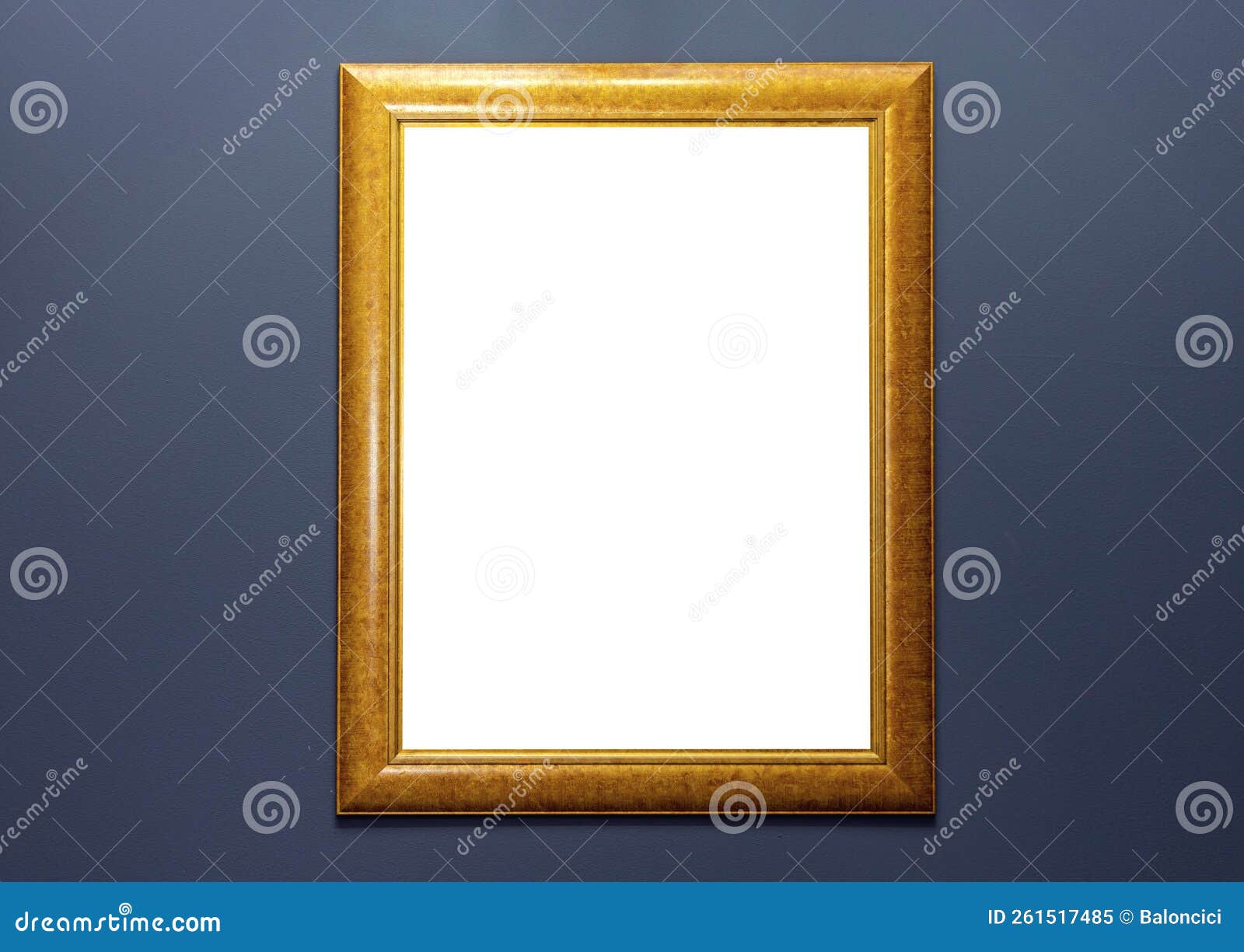 Golden Portrait Frame stock image. Image of frame, structure - 261517485