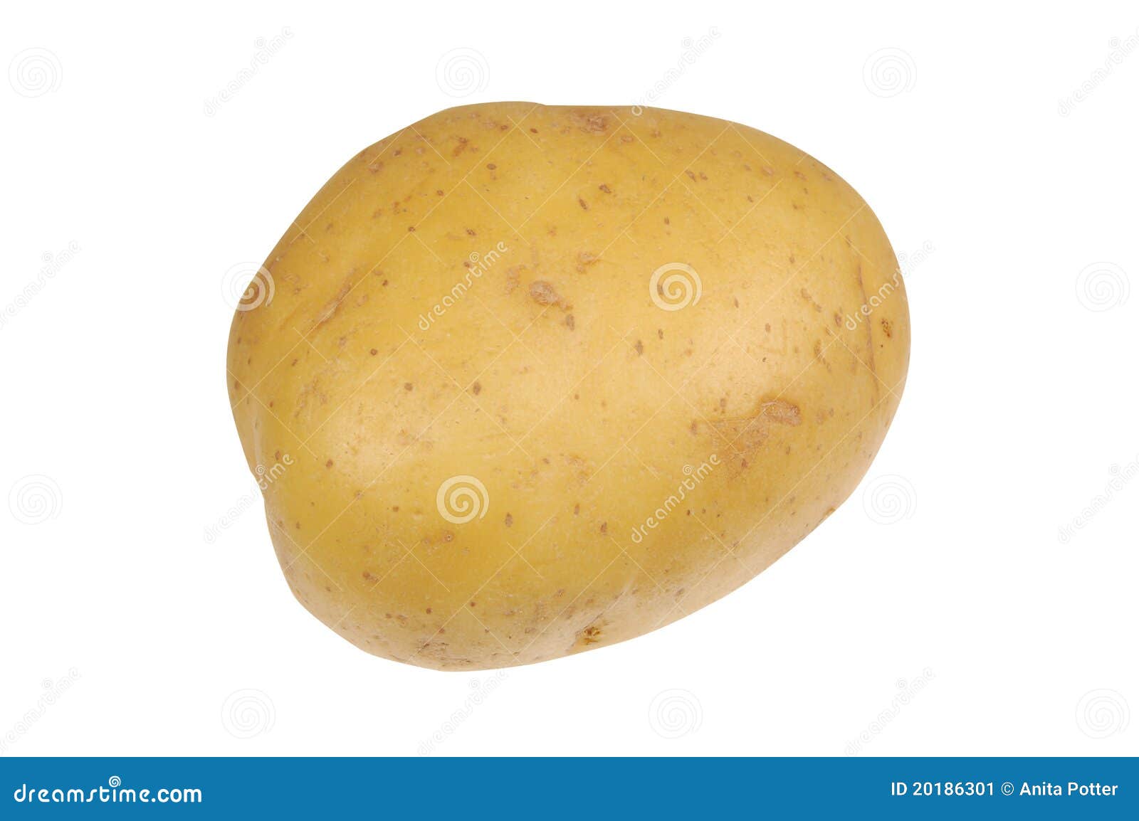 A Golden Potato stock image. Image of starch, starches - 20186301
