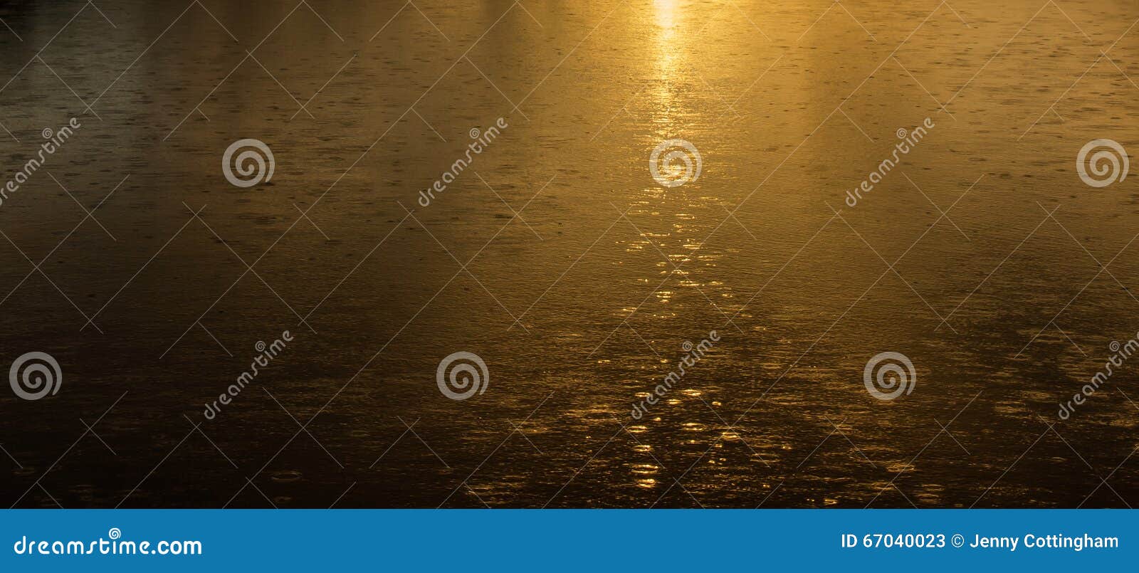 Golden Rain, Rain Drops Falling As the Sun Rises. Stock Image - Image ...