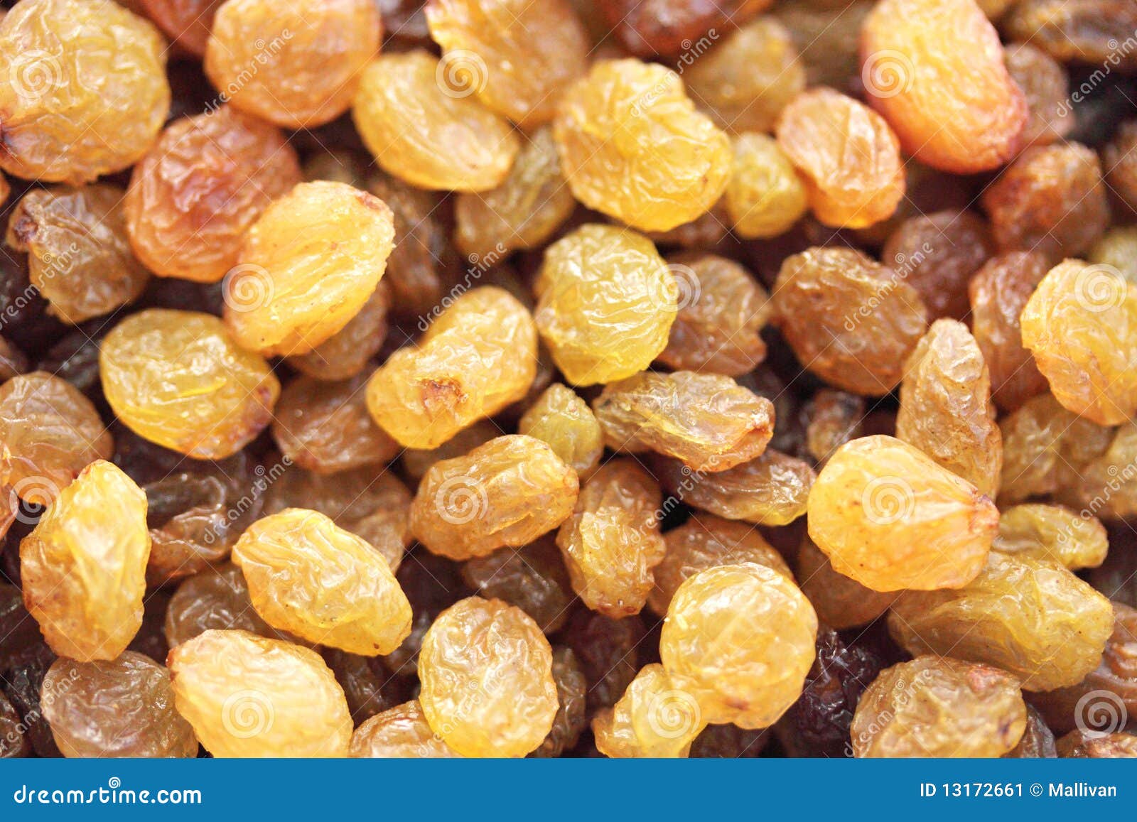 Golden raisins stock image. Image of autumn, background - 13172661