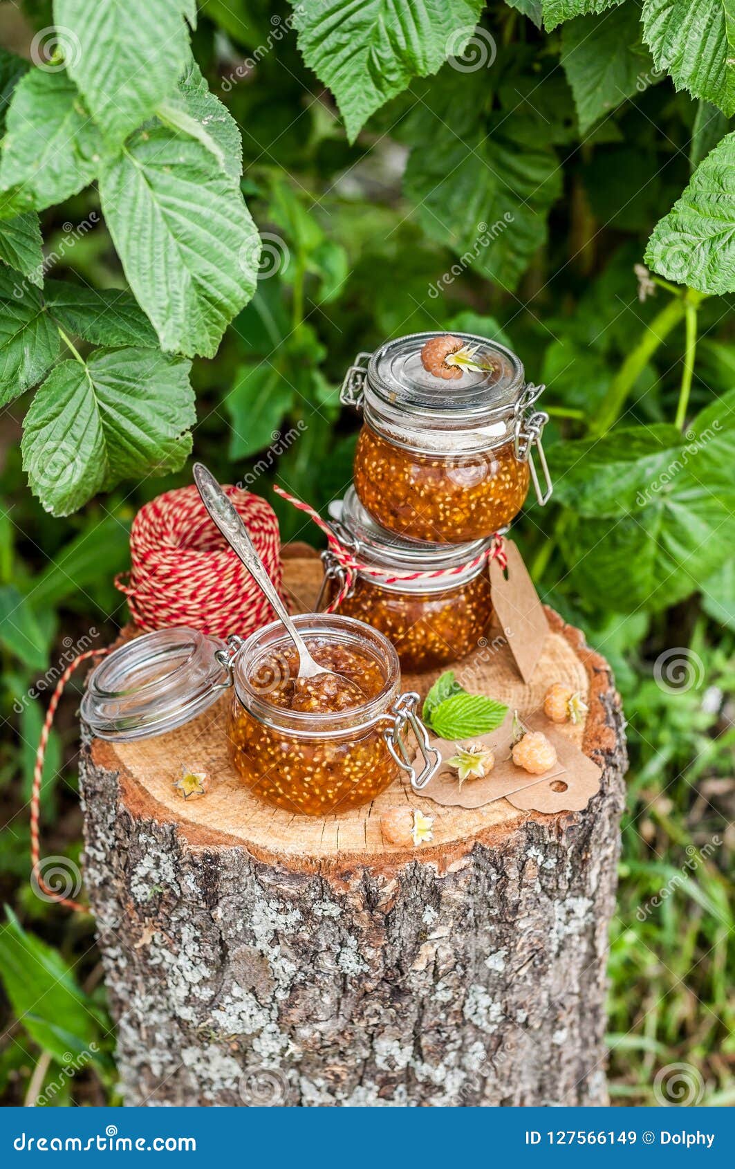Golden Raspberry Jam stock image. Image of food, leaf - 127566149