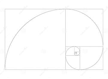 Golden Ration Section Line Frame Stock Vector - Illustration of curl ...