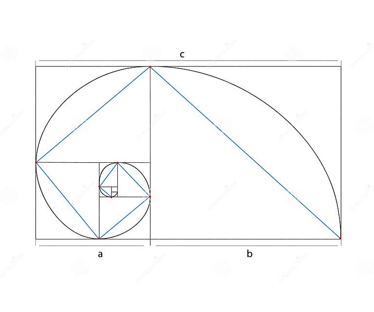Golden ration stock vector. Illustration of geometry - 98078405