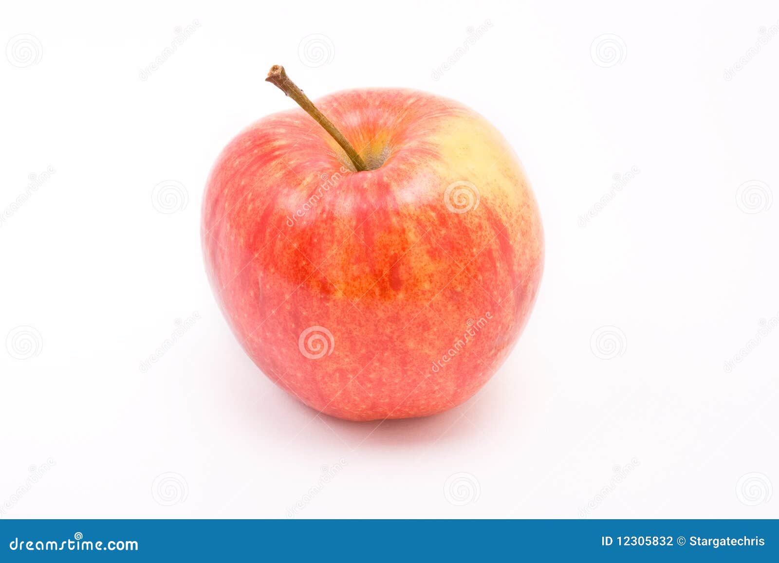 Golden red apple stock photo. Image of stalk, shiny, bright - 12305832