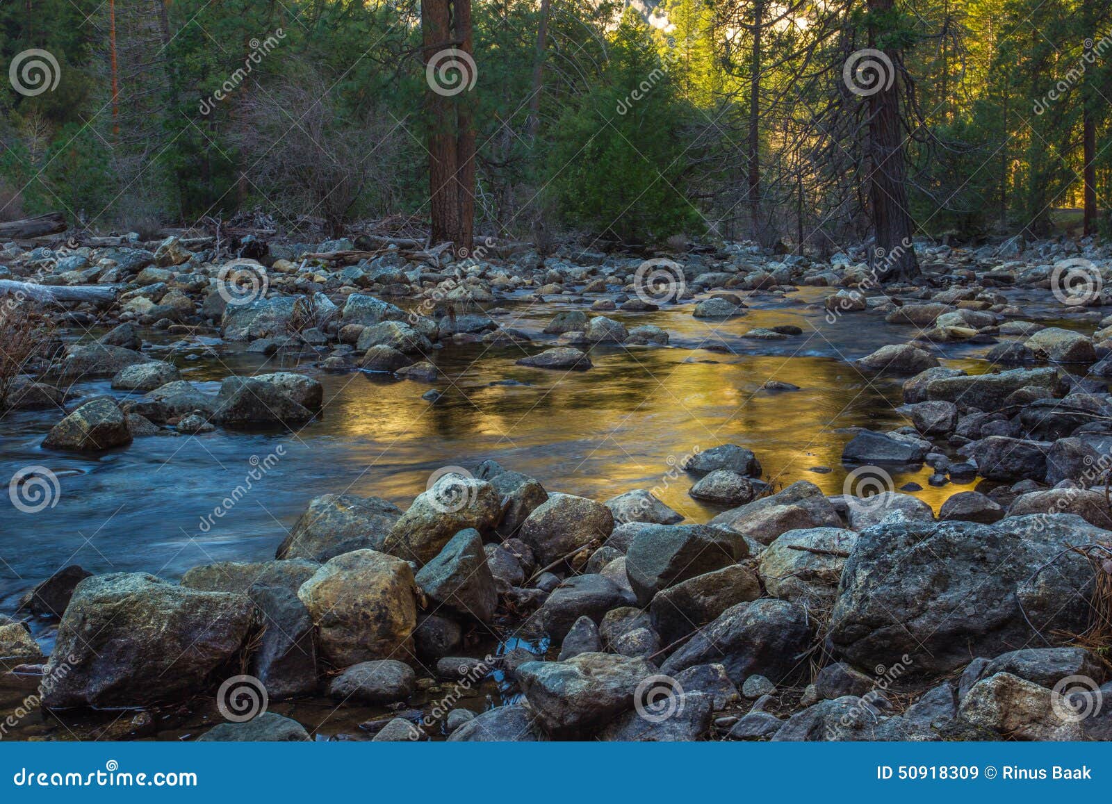 Golden Reflection stock image. Image of brook, rocks - 50918309