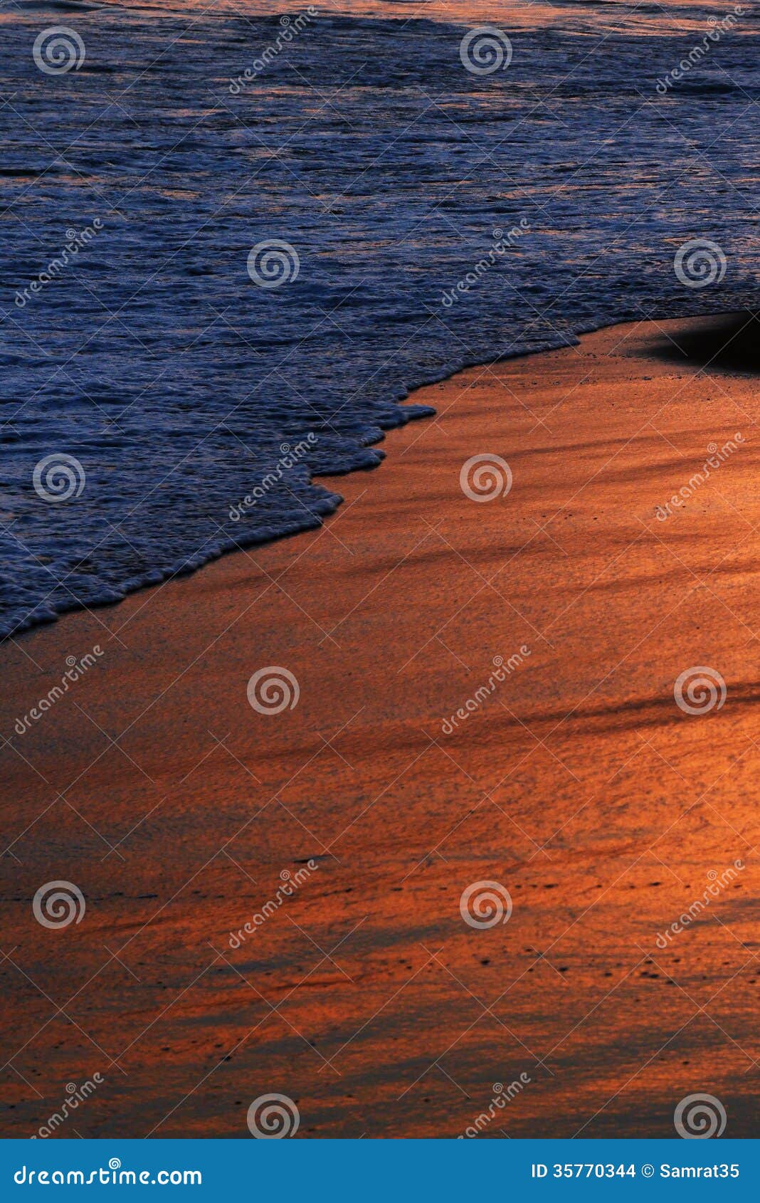 Golden Reflection stock photo. Image of bright, open - 35770344