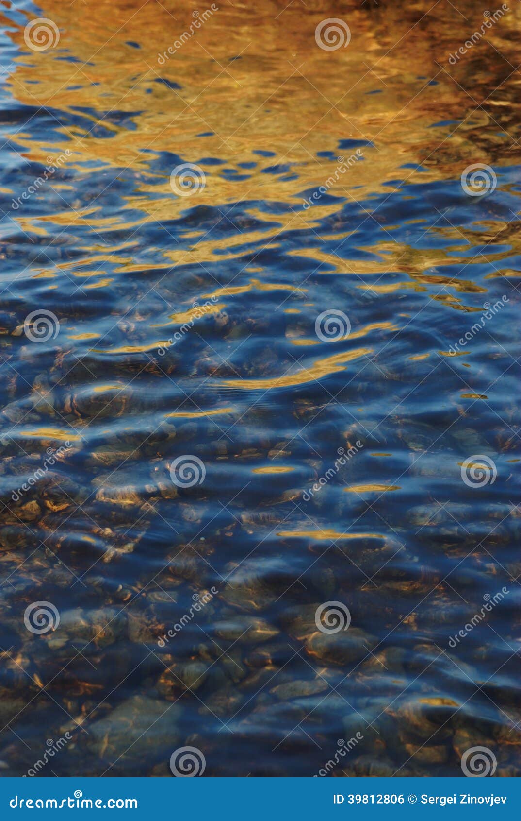 Golden Reflection stock photo. Image of small, peaceful - 39812806