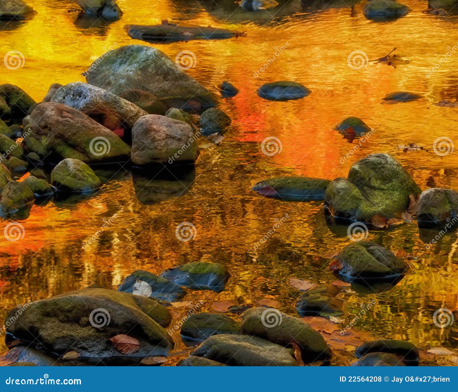 Golden reflections stock photo. Image of golden, fine - 22564208