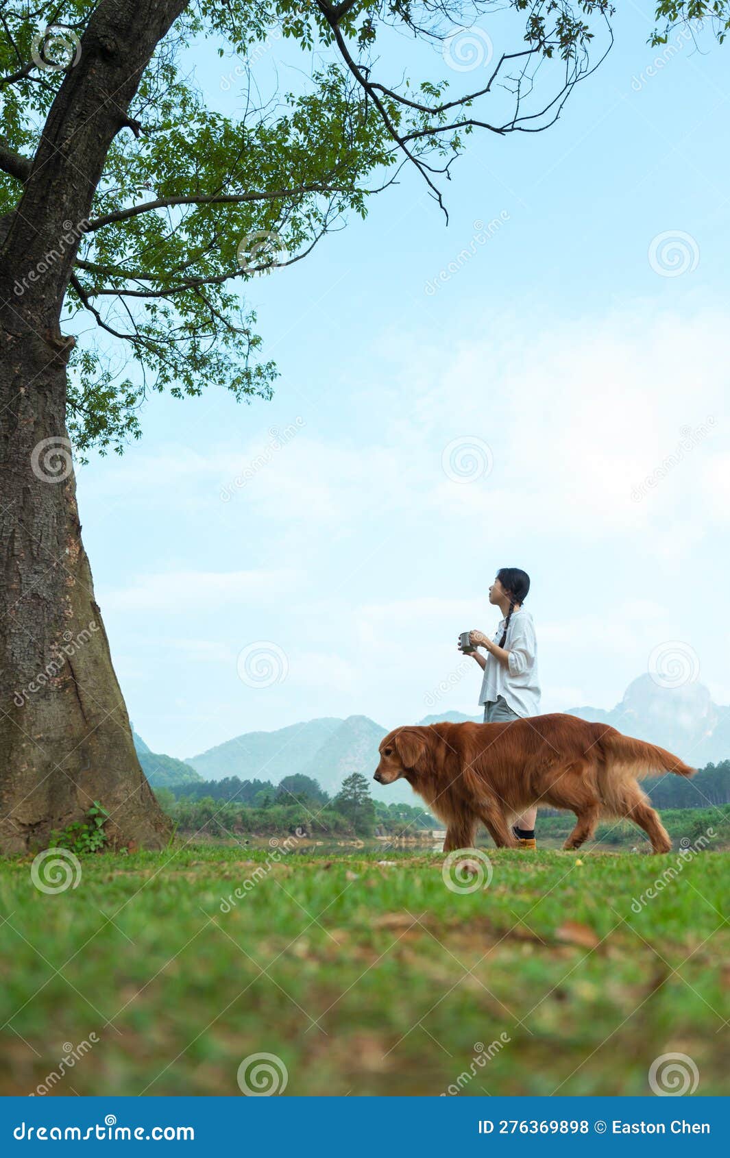 Golden Retriever and Owner Walking Outdoors Stock Photo - Image of ...