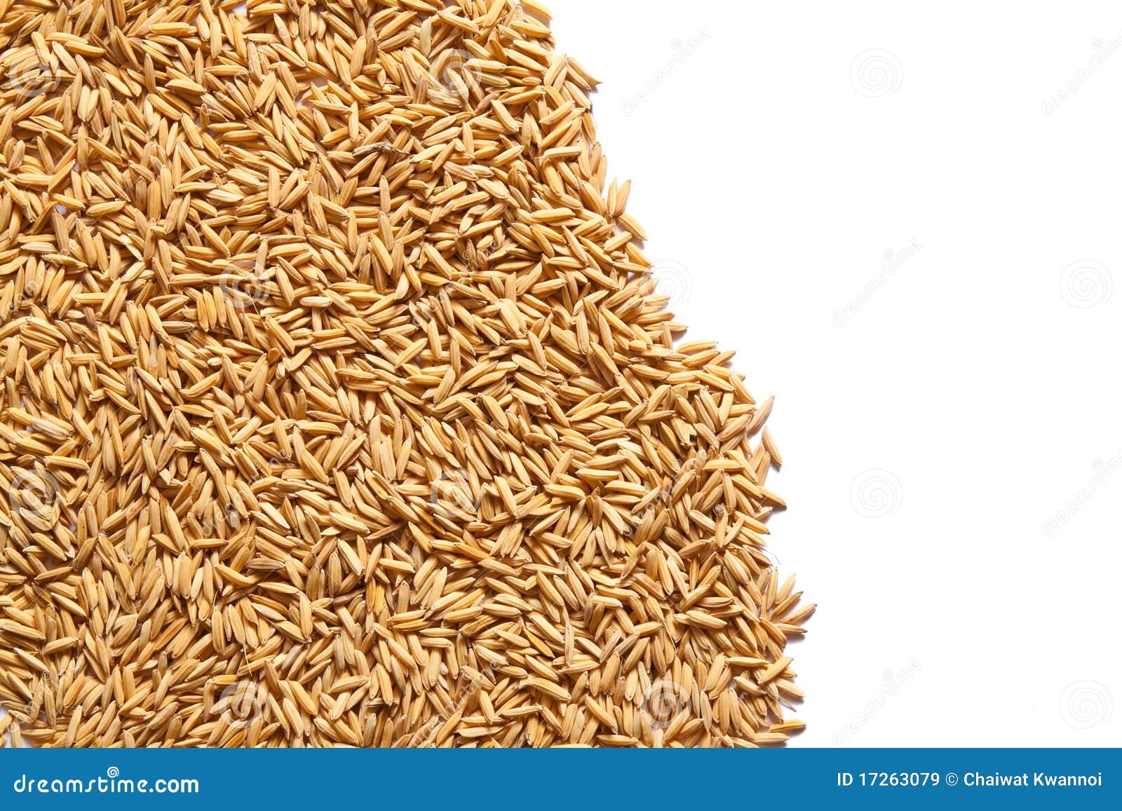 Golden rice stock image. Image of greenhorn, crop, diet - 17263079
