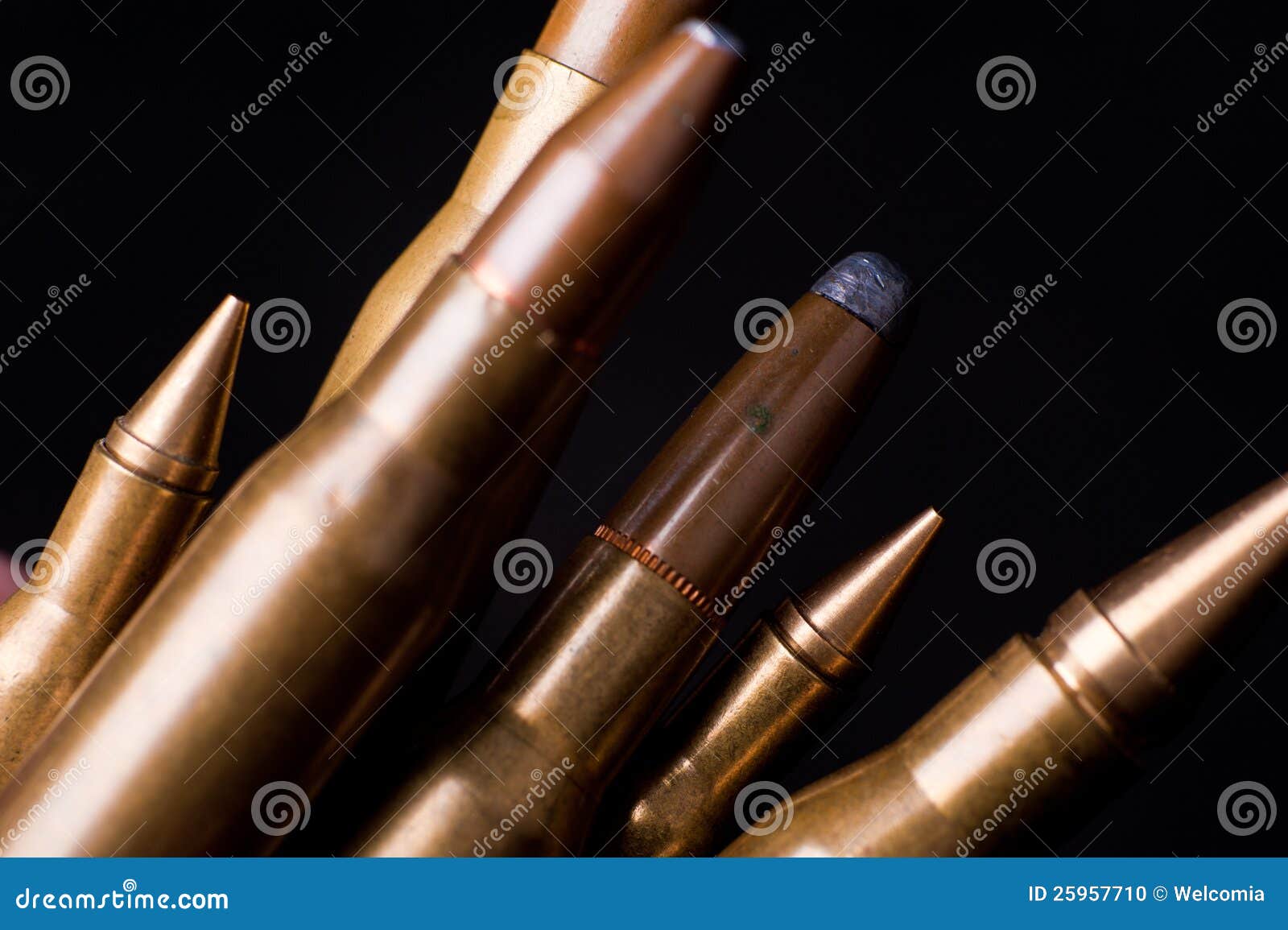 Golden Rifle Bullets stock photo. Image of rifle, weapon - 25957710