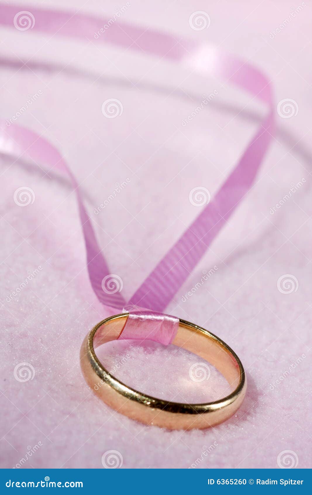 Golden Ring with Pink Ribbon Stock Photo - Image of love, wife: 6365260