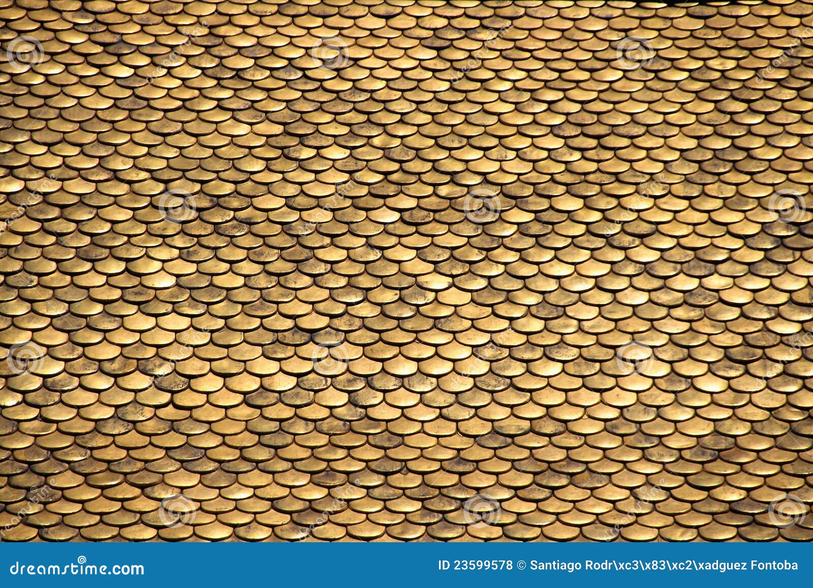 Golden roof stock photo. Image of dachl, roof, abstract - 23599578