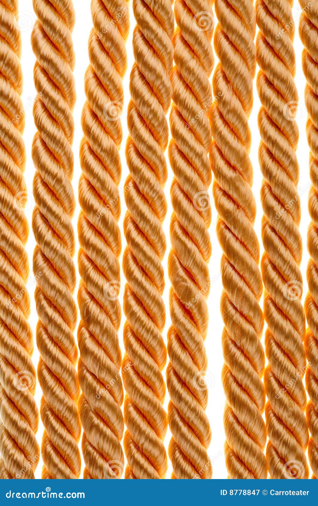 Golden Rope Stock Photo | CartoonDealer.com #395862