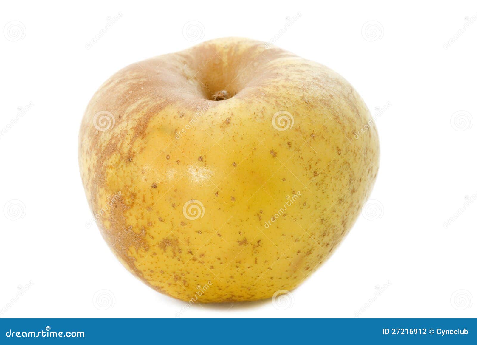 Golden russet apple stock photo. Image of canada, isolated - 27216912