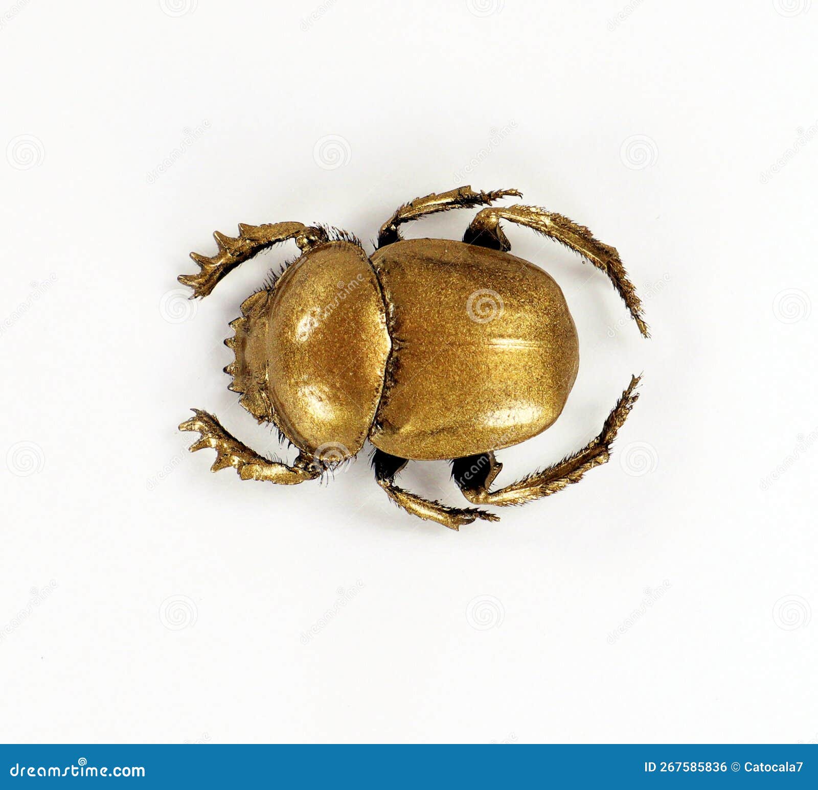 Golden Sacred Scarab Beetle, Scarabeus Covered With Gold Isolated On ... Golden Sacred Scarab Beetle, Scarabeus Covered With Gold Isolated On ...