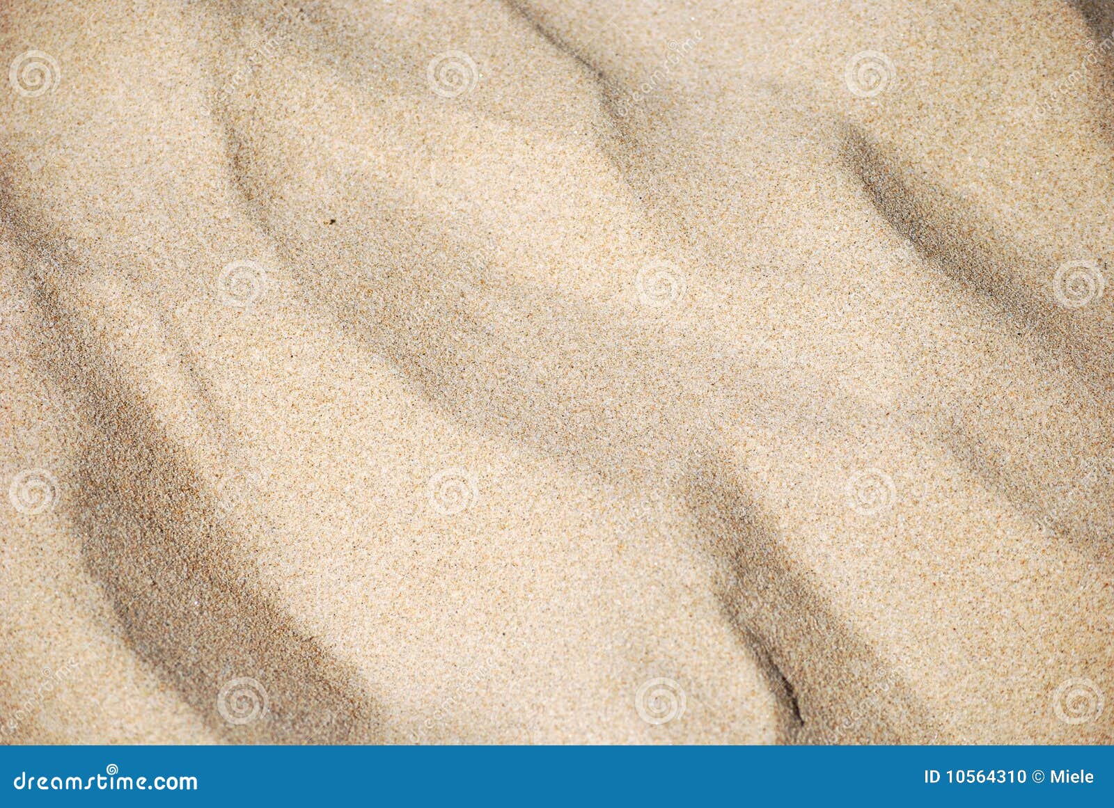 Golden sand background stock photo. Image of desert, close - 10564310