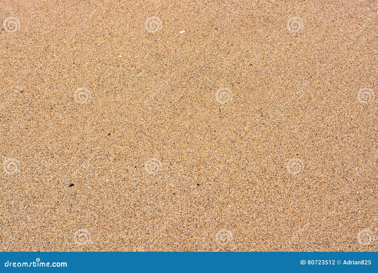 Golden sand background stock photo. Image of close, empty - 80723512
