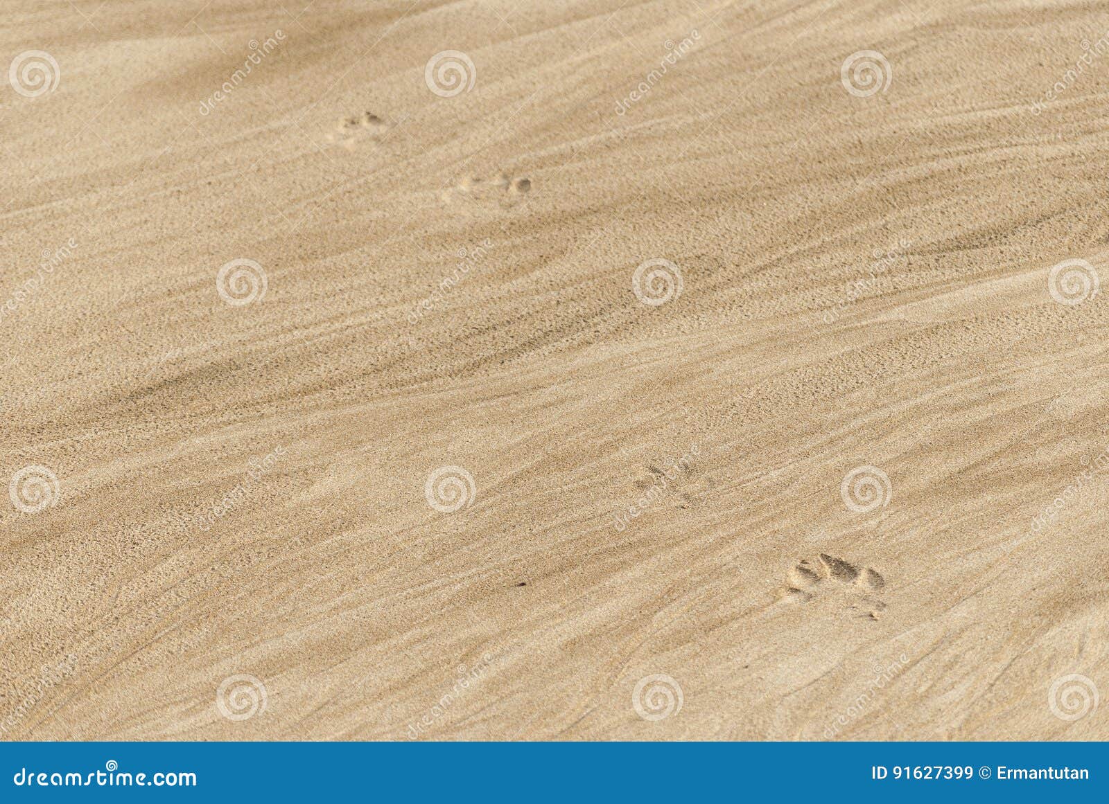 Golden Sand Beach Texture stock image. Image of background - 91627399