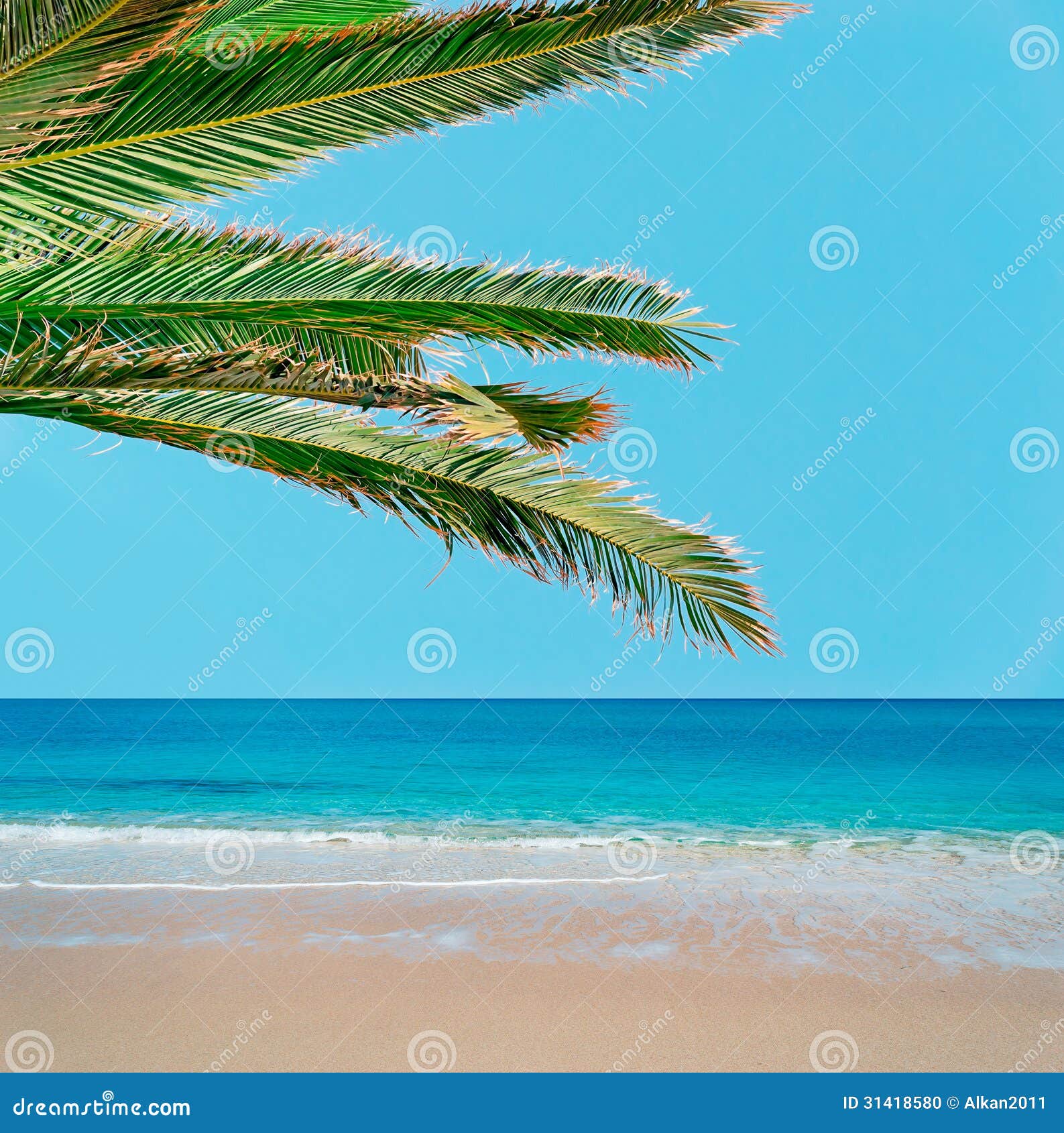 Golden sand and palm tree stock photo. Image of landscape - 31418580