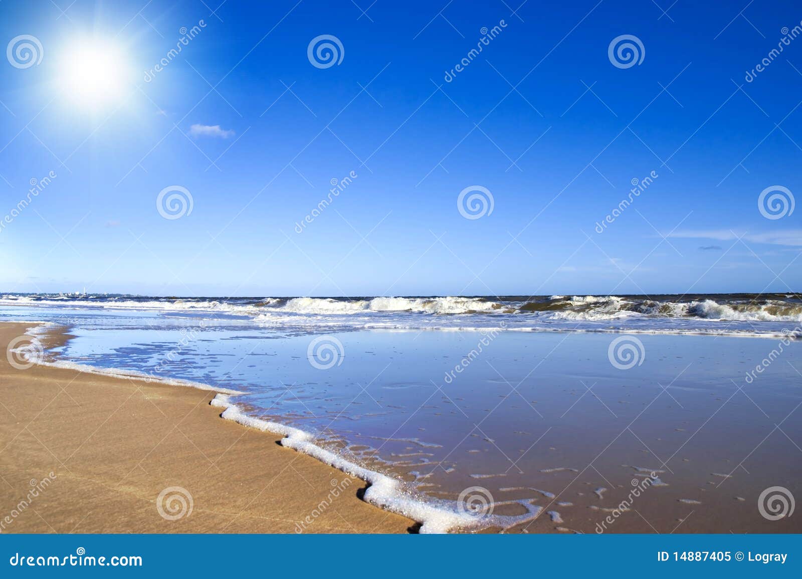Sunny Day At Beach, Coconut Tree, Lens Flare Effect, Beautiful Sky ...