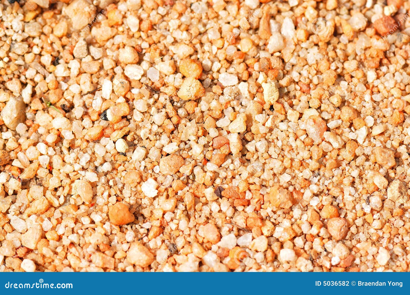Golden Sand Texture stock photo. Image of close, detailed - 5036582