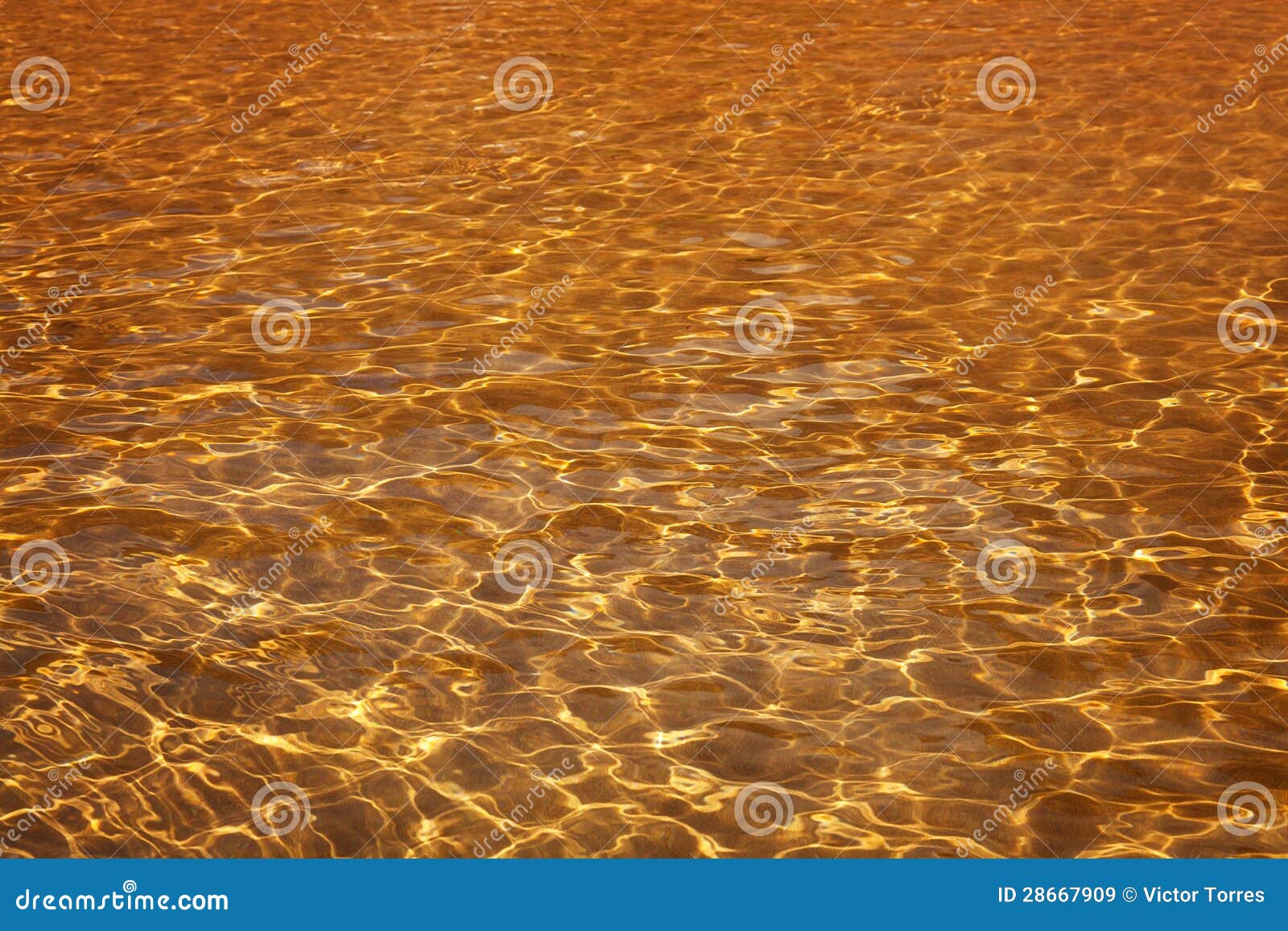 Golden Sea Water stock image. Image of river, yellow - 28667909