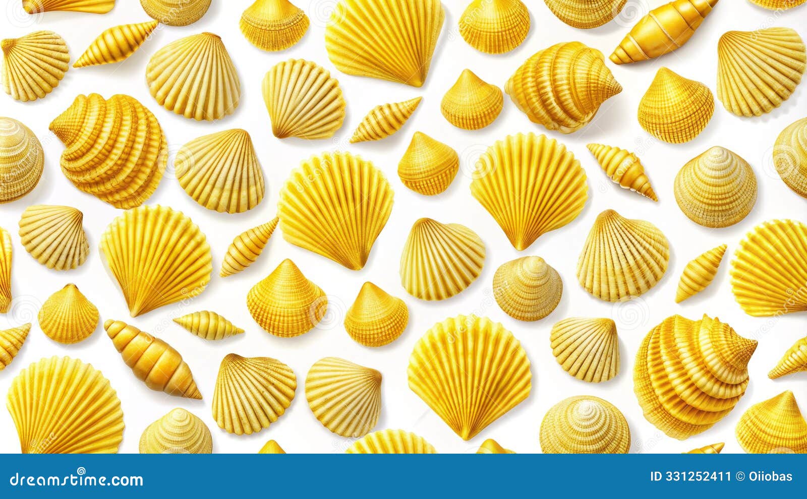 Golden Seashells Pattern, Seashell, Texture, Background, White Stock ...