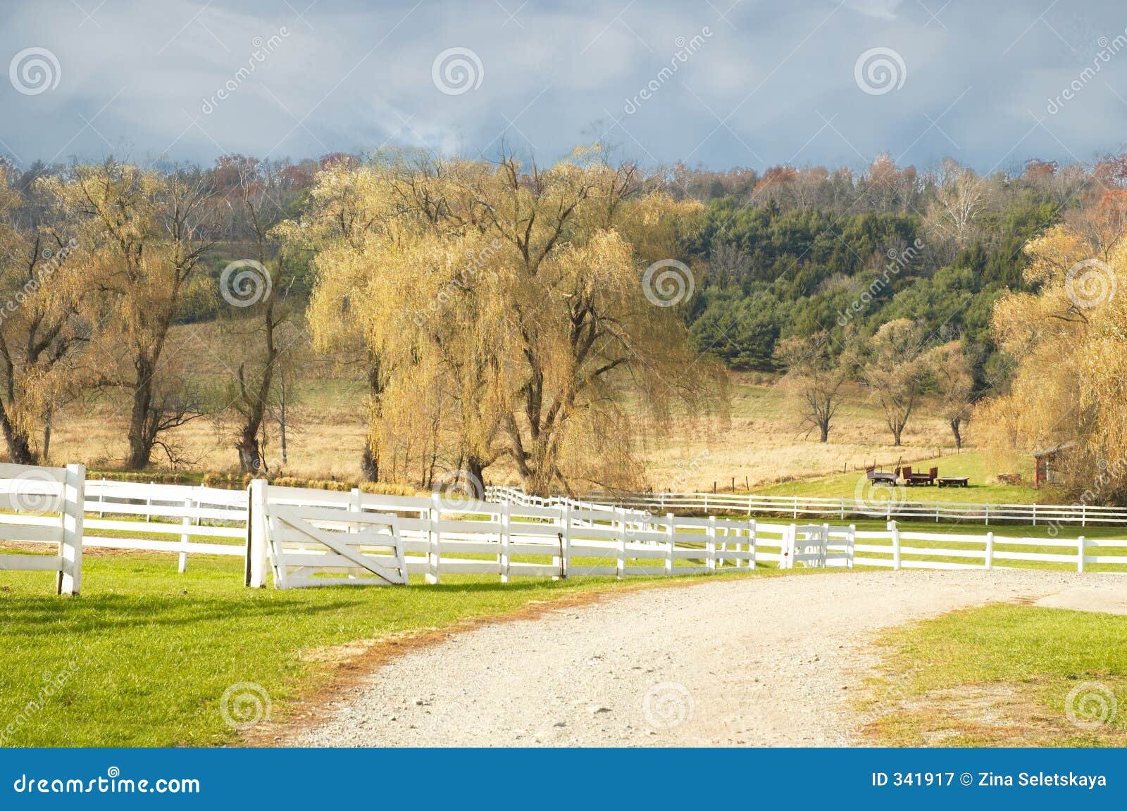 Golden season stock image. Image of farming, rural, road - 341917